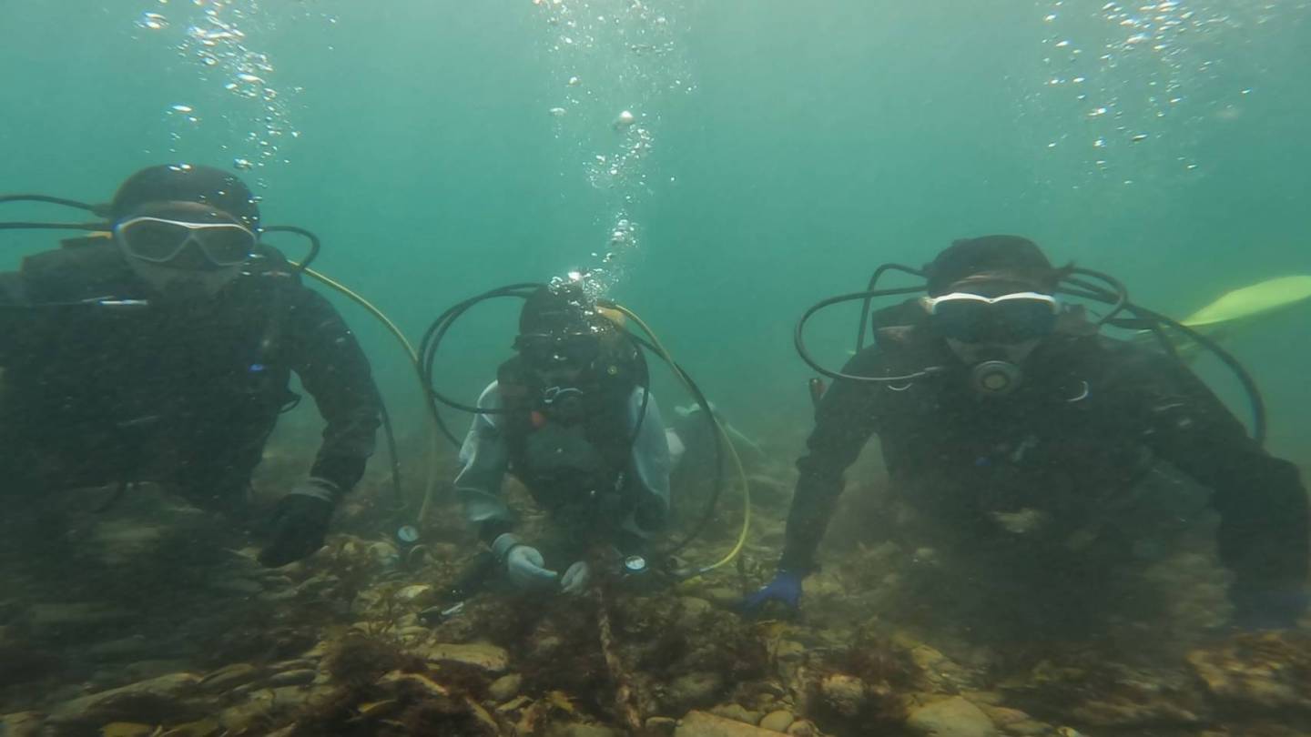 GW6日目 – 千葉県勝浦市の海でスキューバダイビング DUCK DIVE【ダックダイブ】